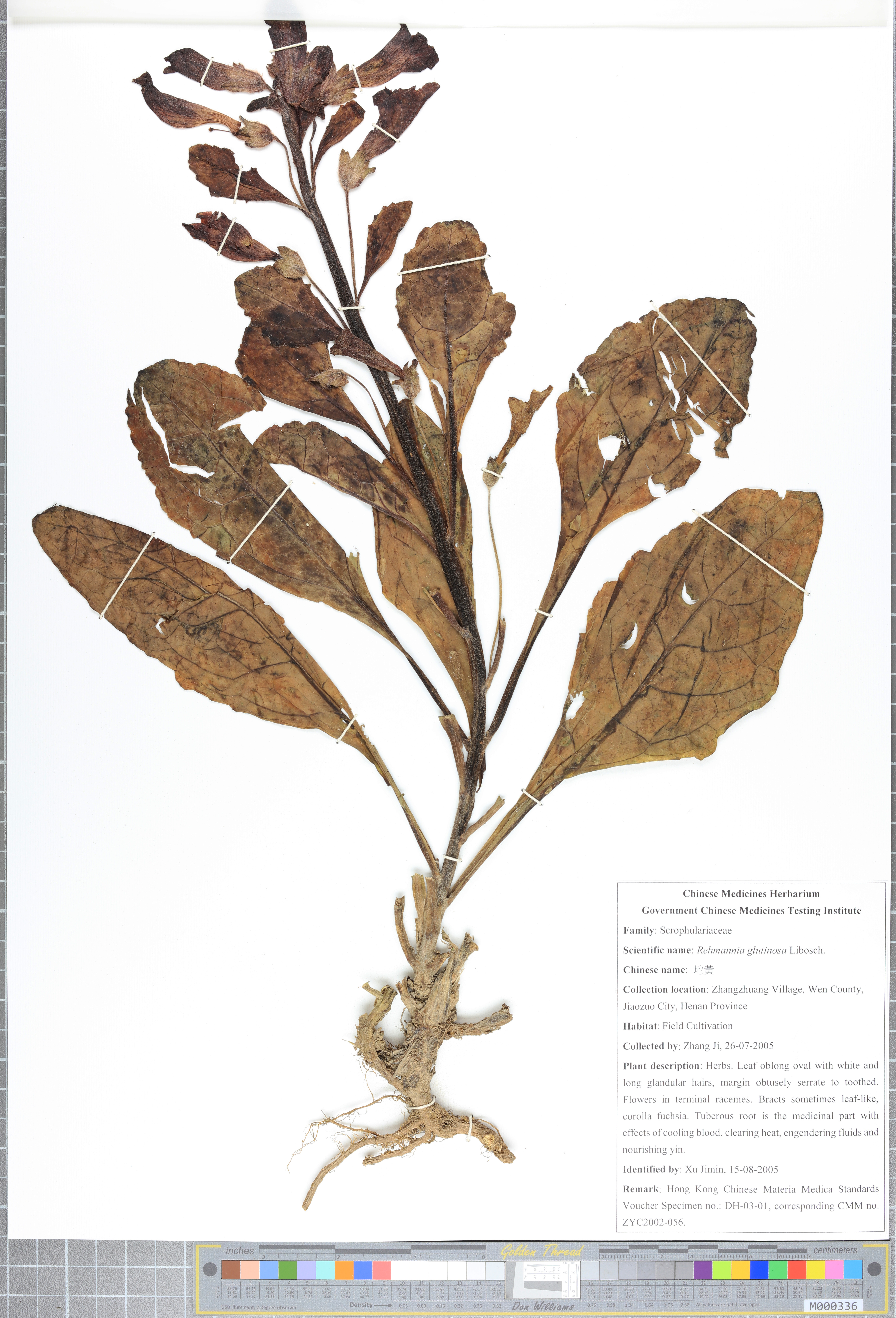 Chinese Medicine Regulatory Office